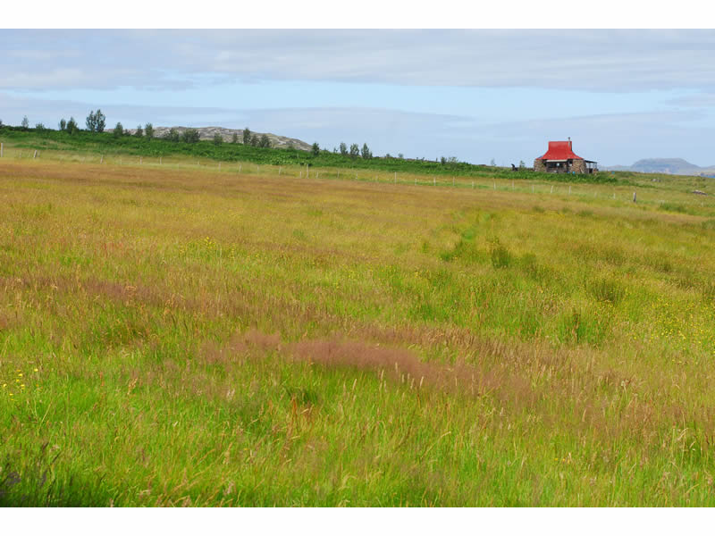 Tom's Bothy | Gallery | Interior